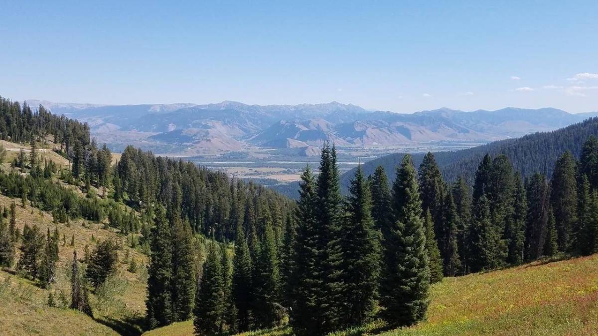 Let Targhee National Forest Inspire Your Next Adventure – Don't Wait ...